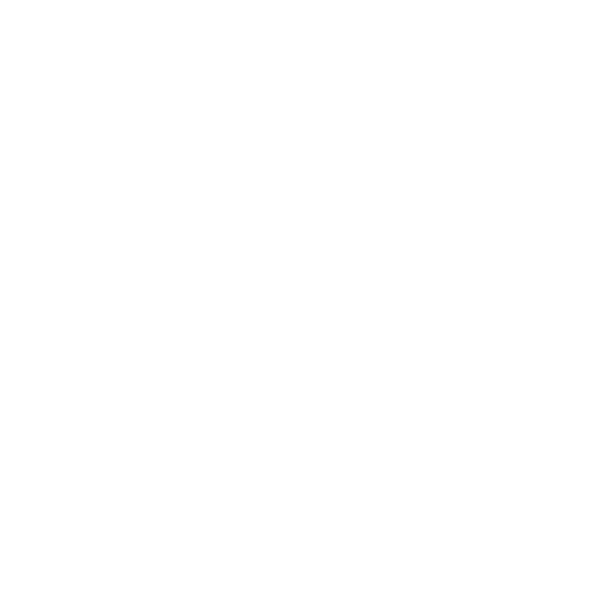 Technology Solutions That Transform Government | MetroStar