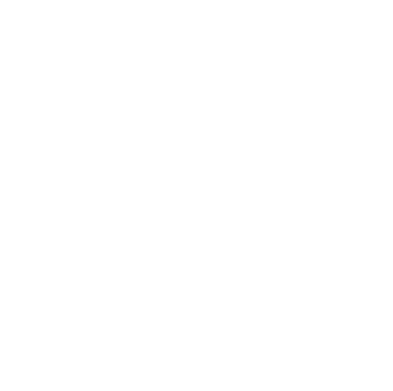 Technology Solutions That Transform Government | MetroStar