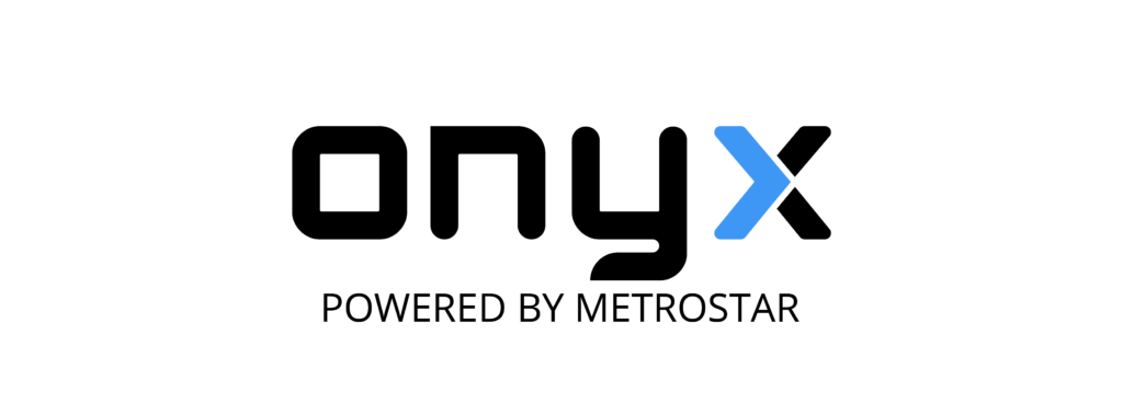 AI and Government | Services | MetroStar