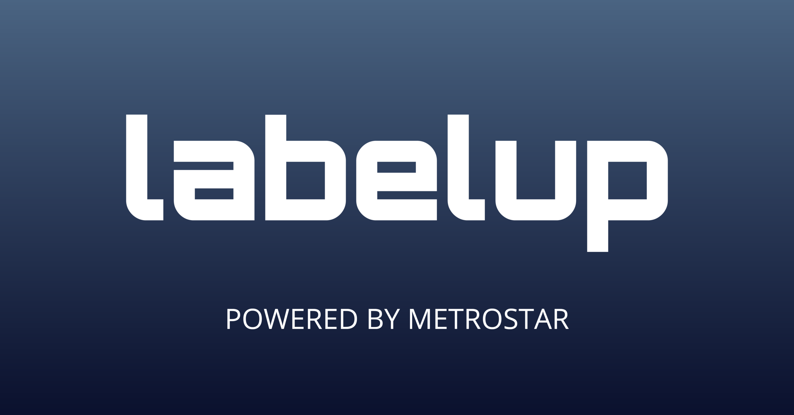 Technology Solutions That Transform Government | MetroStar